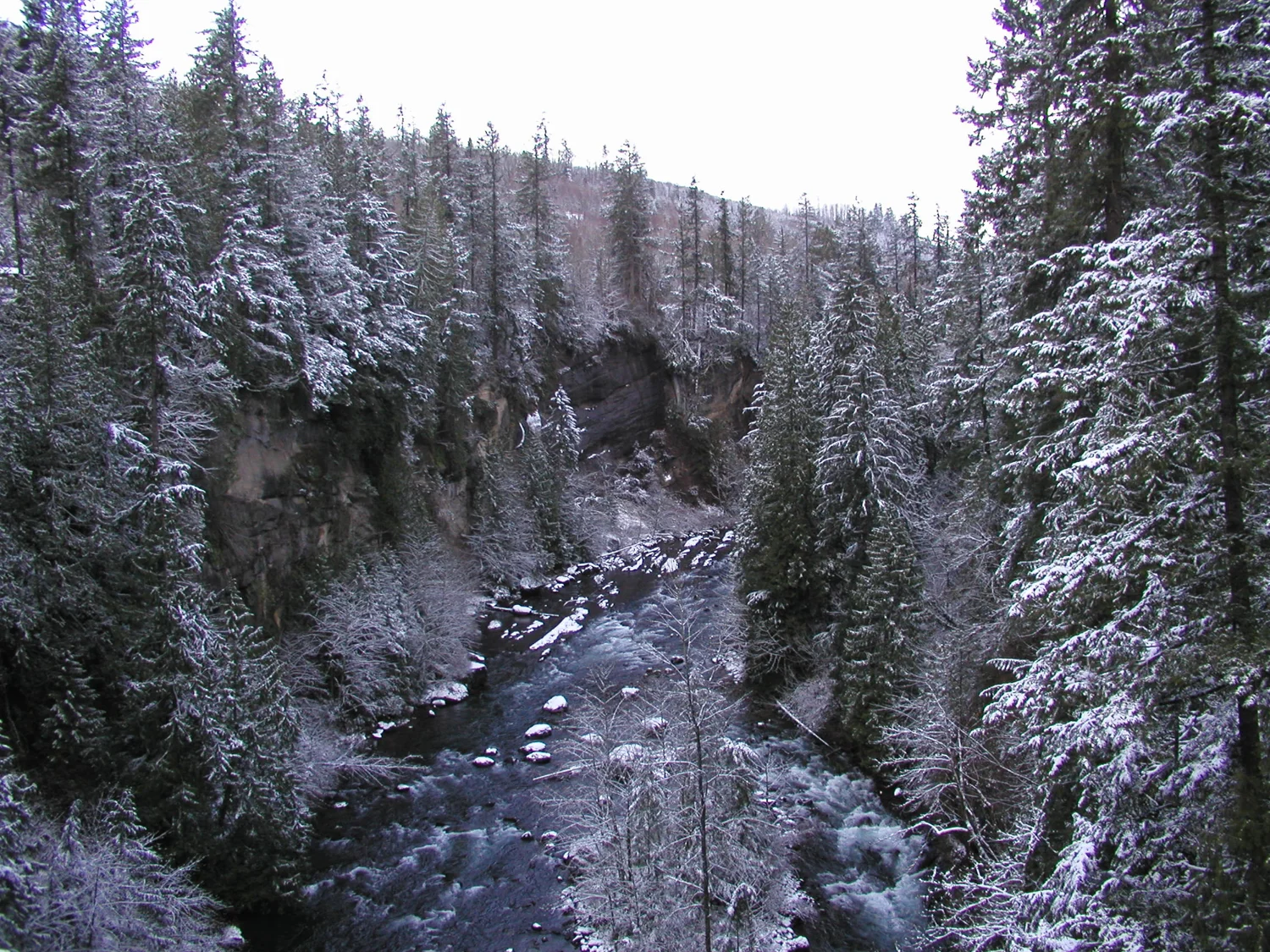 Winter in the Green River Gorge — Green River Gorge GreenwayField ...