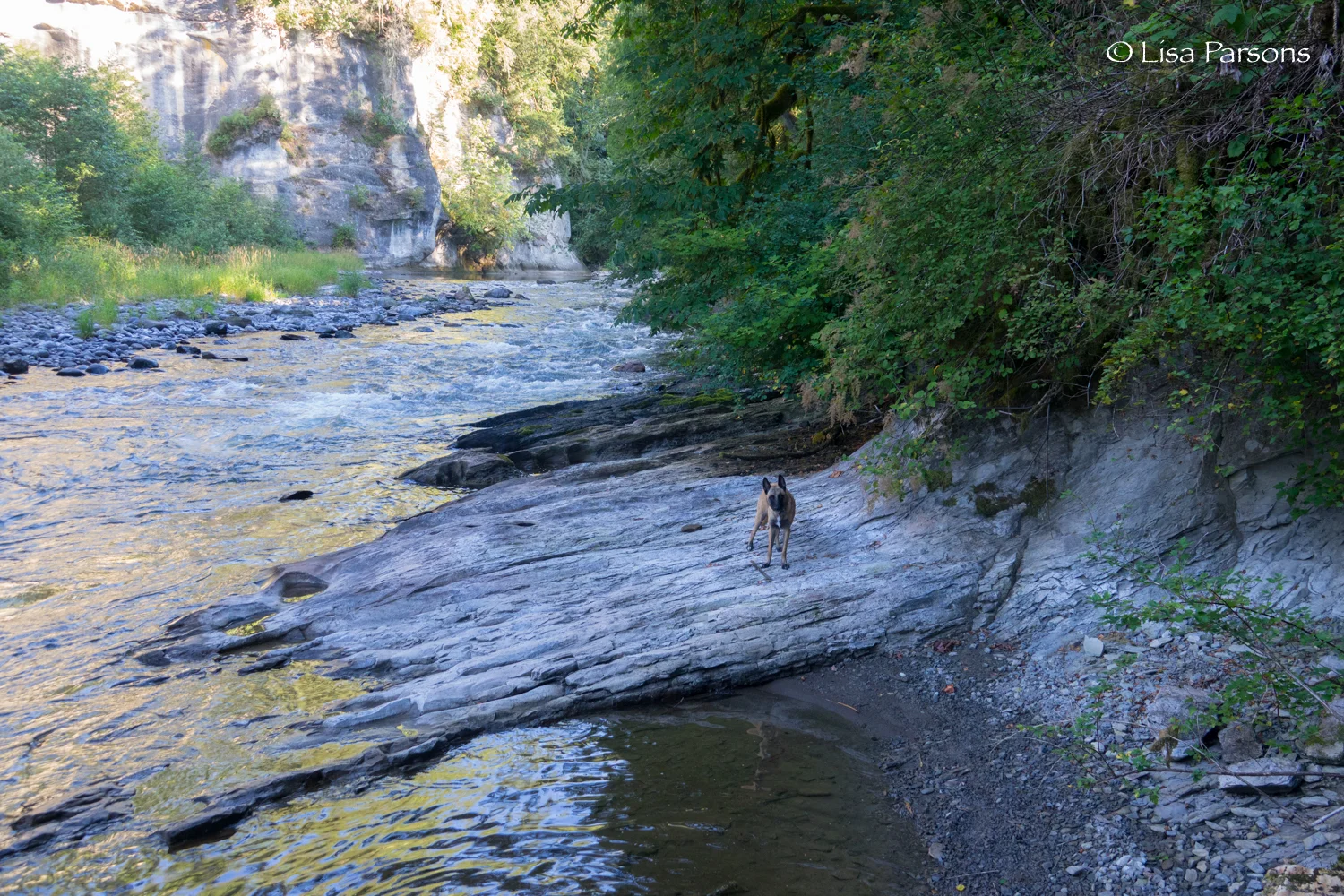 Green River Gorge GreenwayGreen River Gorge