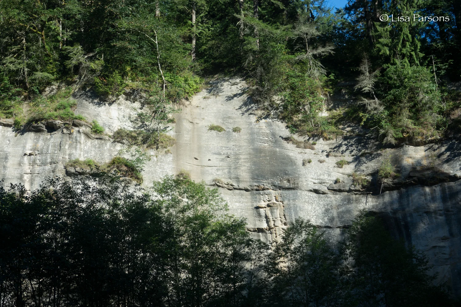 Hanging Gardens — Green River Gorge GreenwayField NotesConservation ...