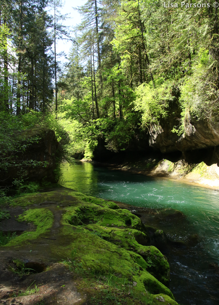 Paradise Rediscovered — Green River Gorge GreenwayField ...