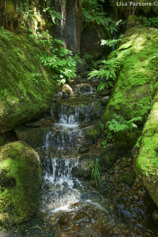 Paradise Rediscovered — Green River Gorge GreenwayField ...