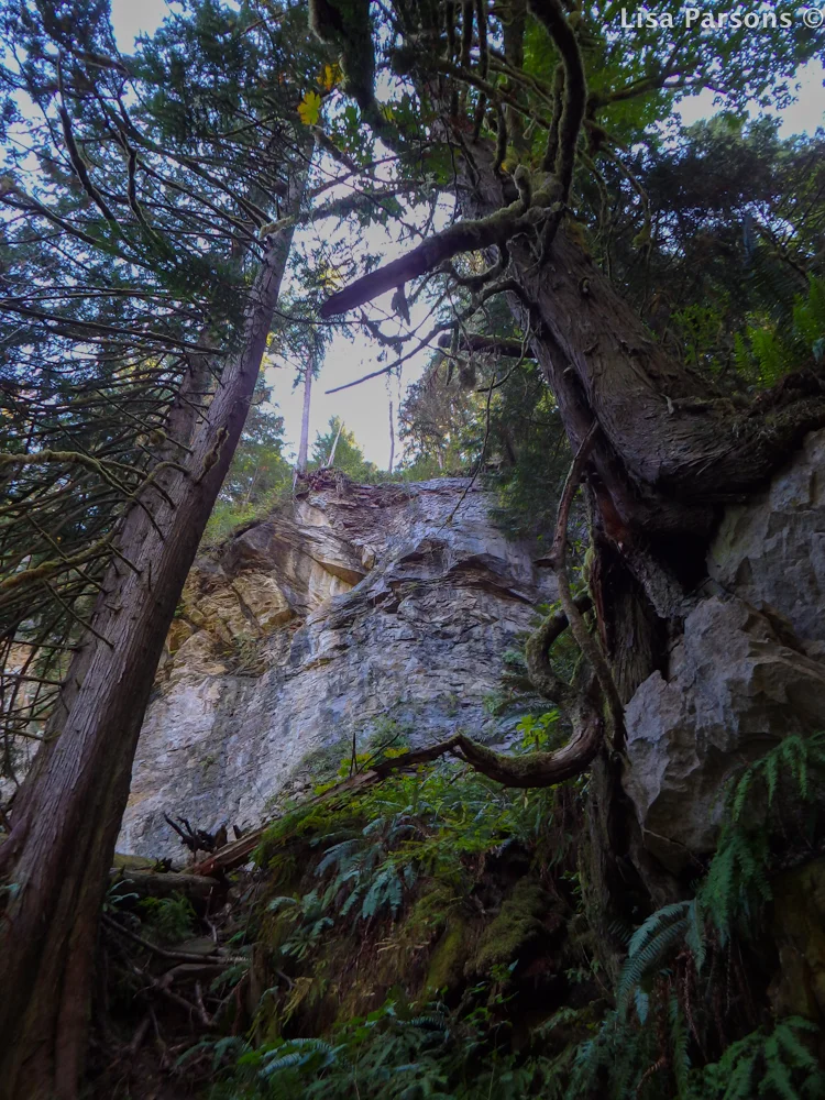 Paradise Rediscovered — Green River Gorge GreenwayField ...