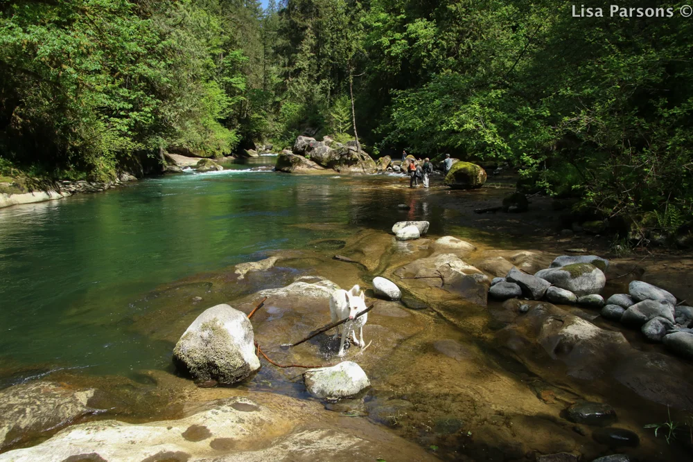 Paradise Rediscovered — Green River Gorge GreenwayField ...