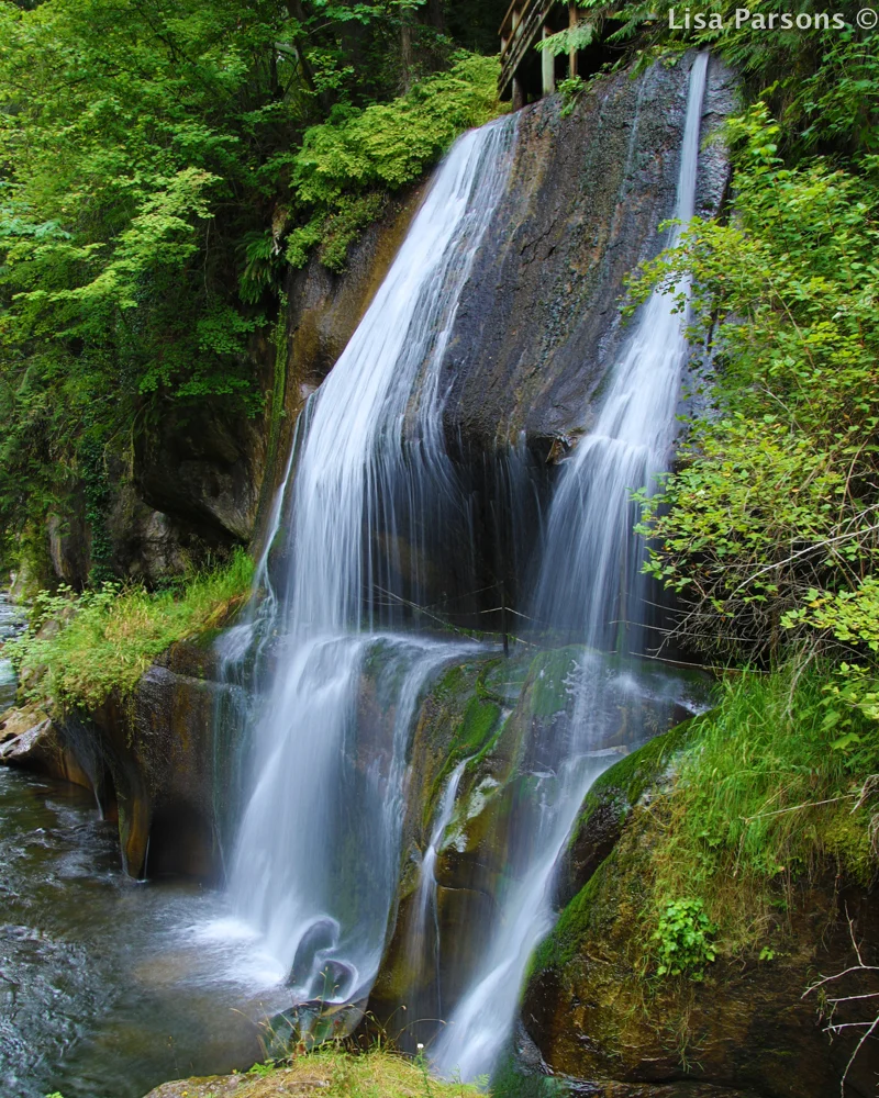 Paradise Rediscovered — Green River Gorge GreenwayField ...