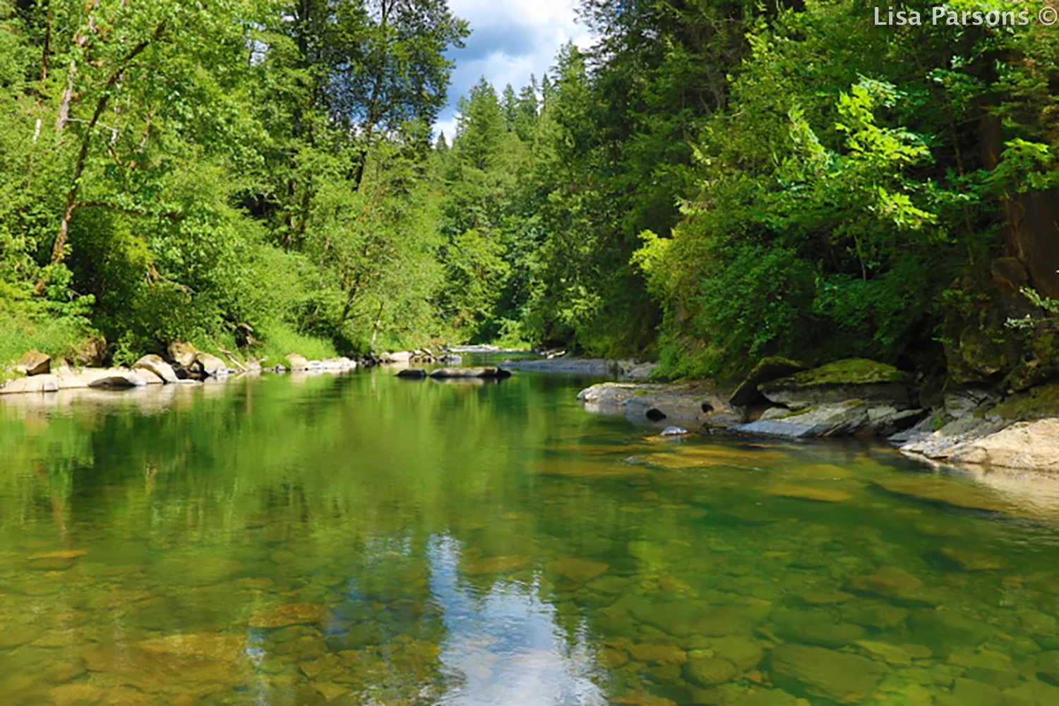 Summer Swimming Hole — Green River Gorge GreenwayField ...