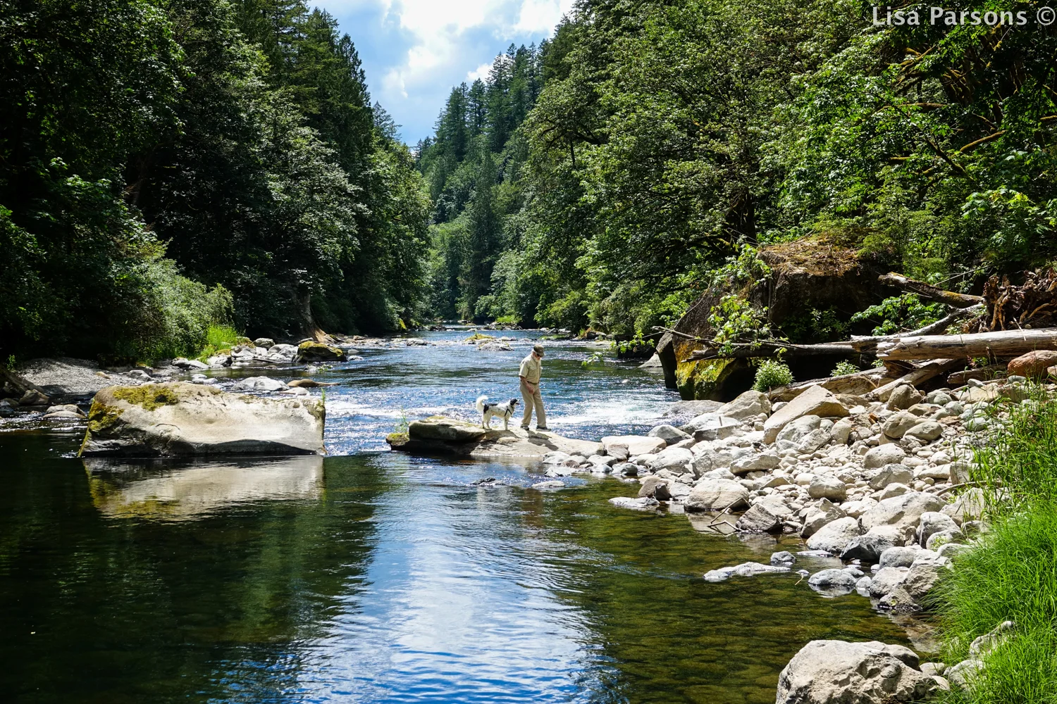 Summer Swimming Hole — Green River Gorge GreenwayField ...