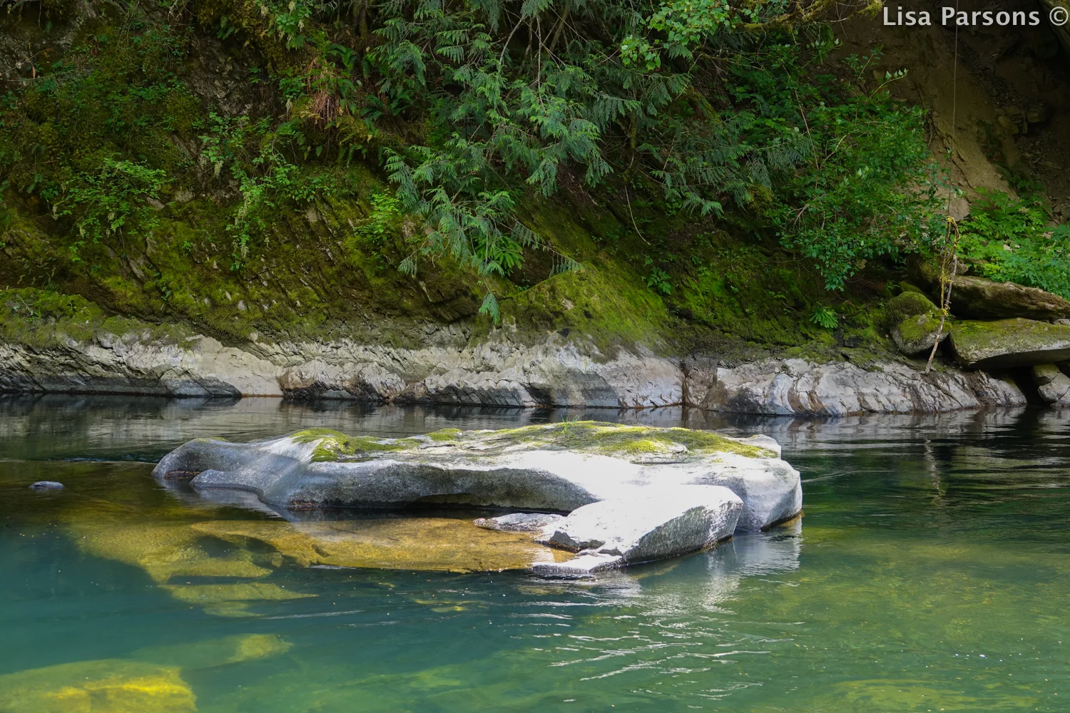 Summer Swimming Hole — Green River Gorge GreenwayField ...
