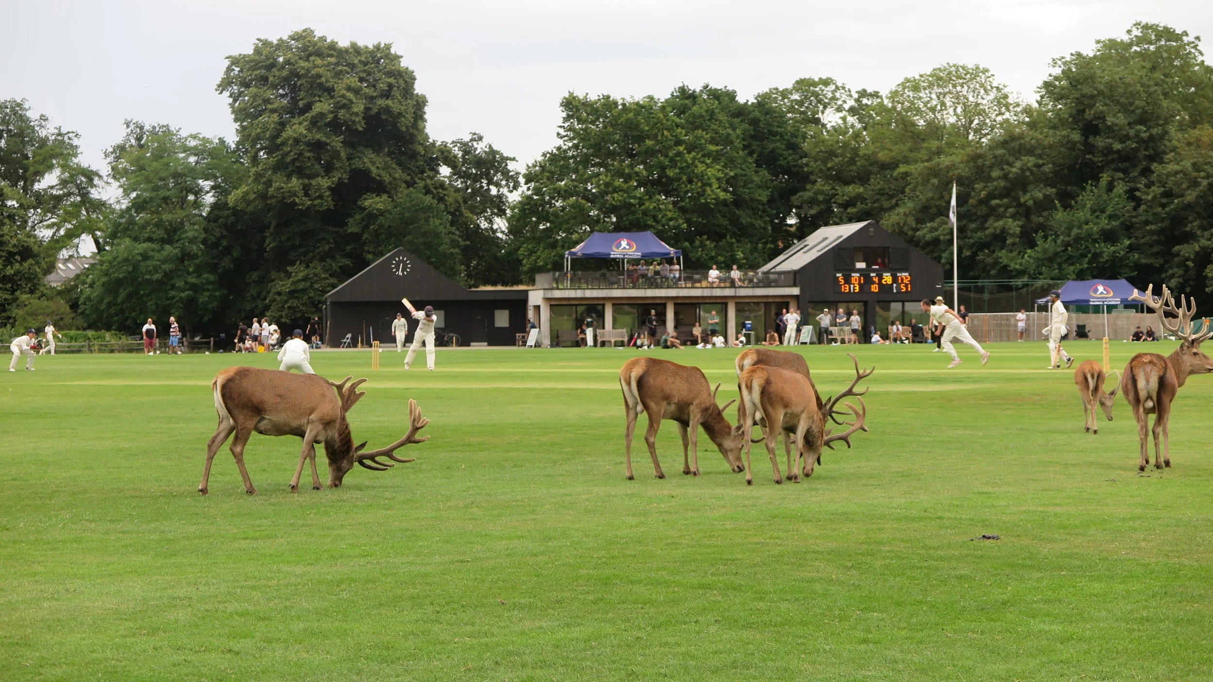 Teddington Cricket Club