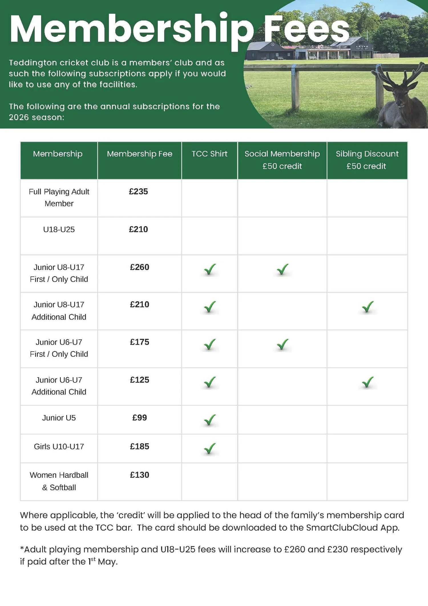 Teddington Junior Cricket Membership — Teddington Cricket Club