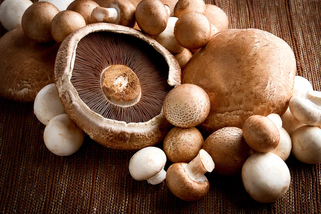 About Us/Contact Us — Sunny Dell Specialty LLC