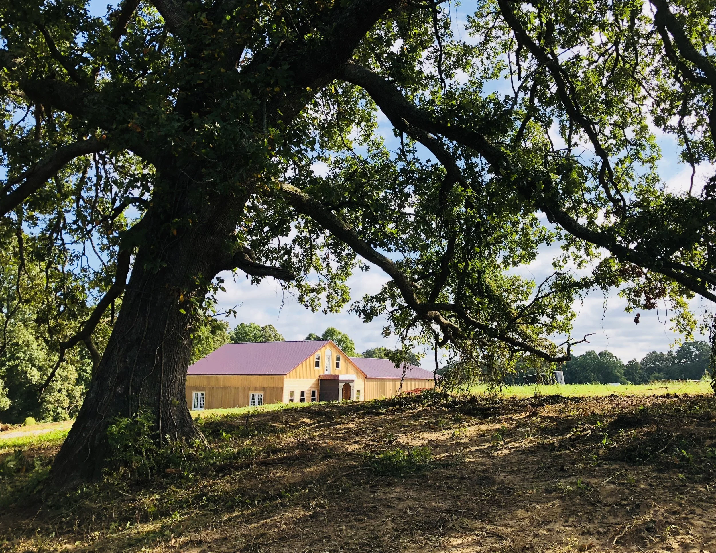 Owl Creek Vineyard