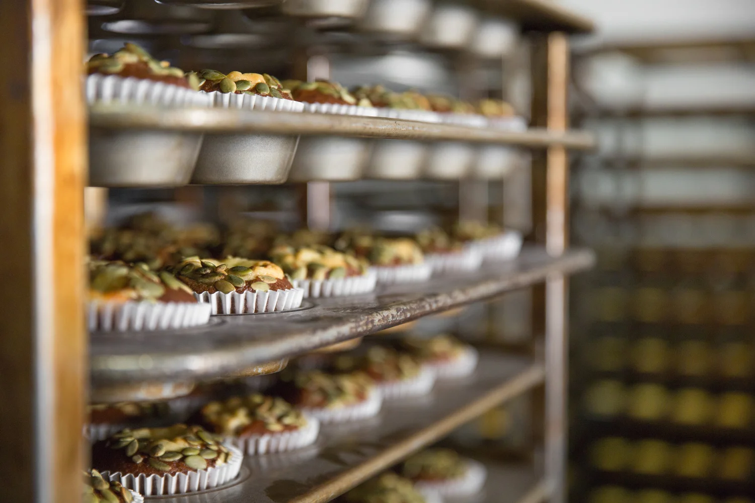 Muffins — Rubicon Bakers - Bake a Better World