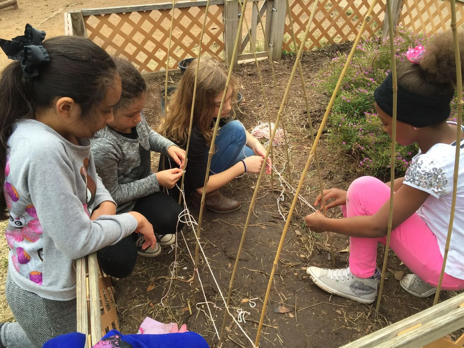 Project Based Learning — WIDE School- High School, Middle School ...