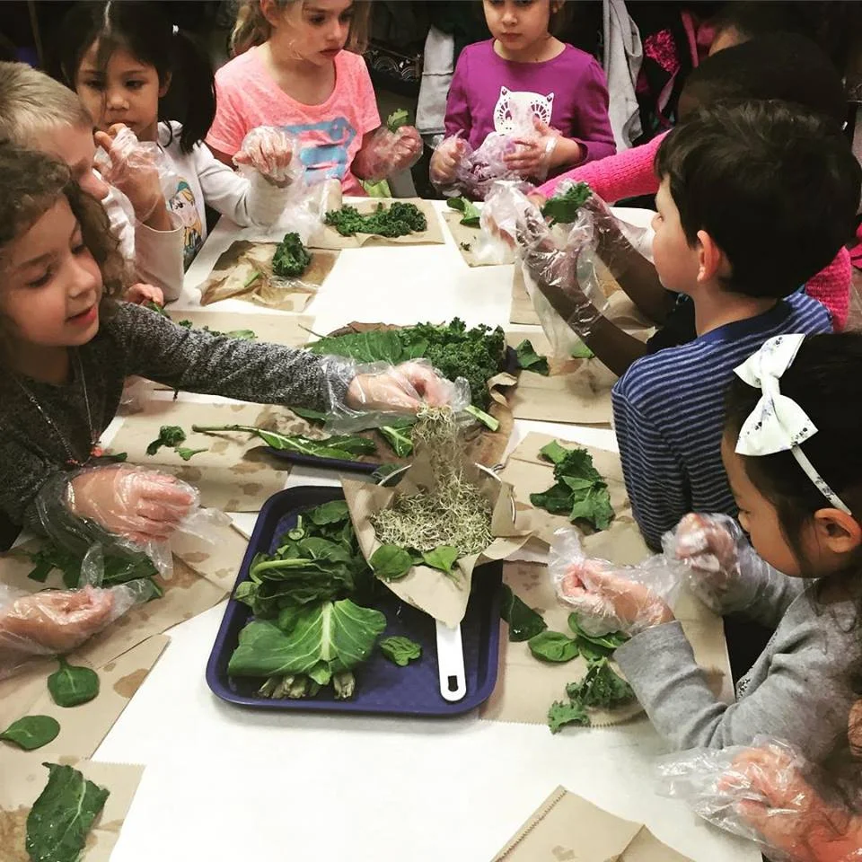 Project Based Learning — WIDE School- High School, Middle School ...