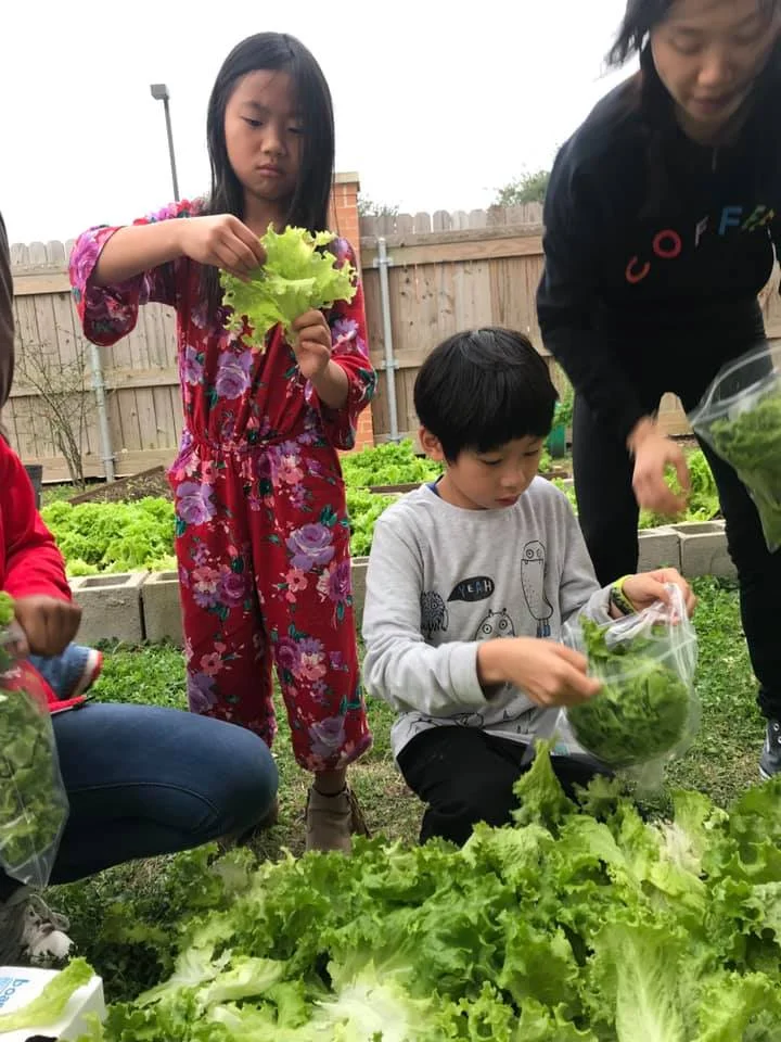 Project Based Learning — WIDE School- High School, Middle School ...