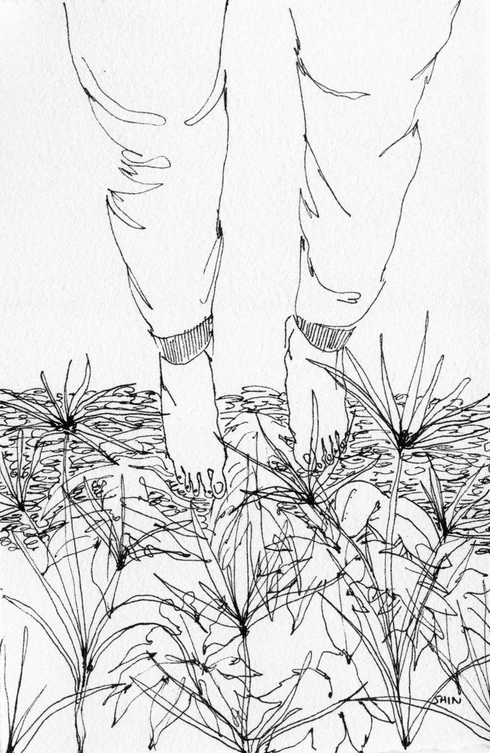 Artist Interview // TREVOR SHIN — FAAIM