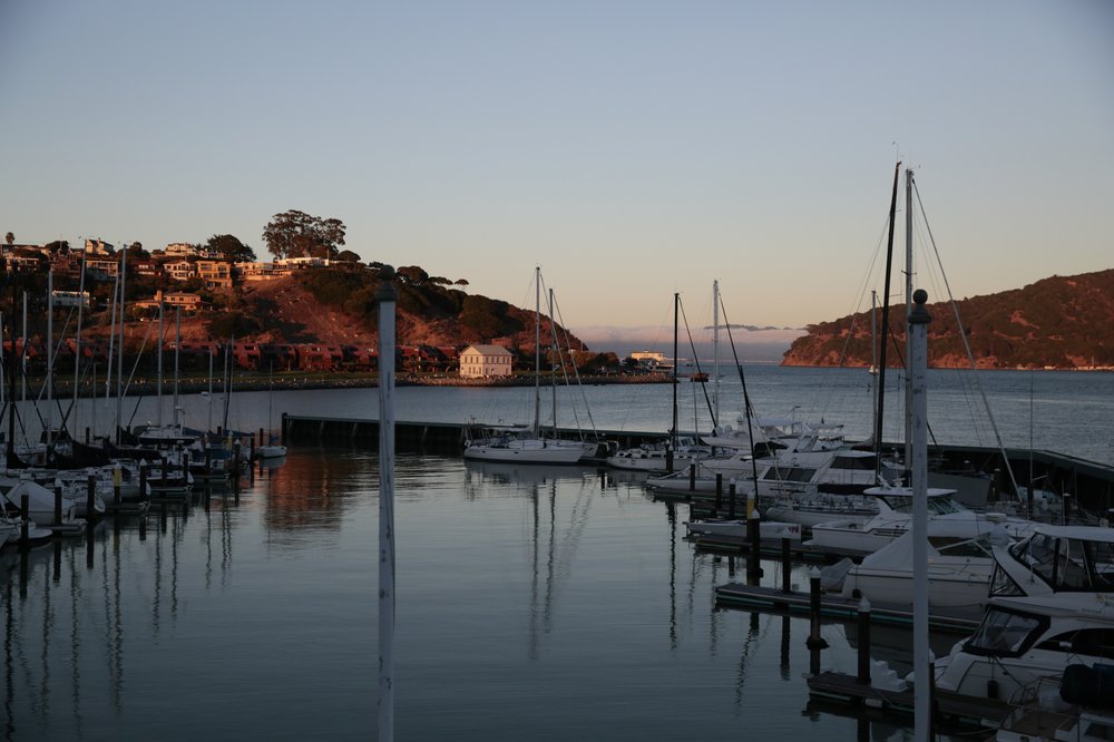 Tiburon — Own Marin