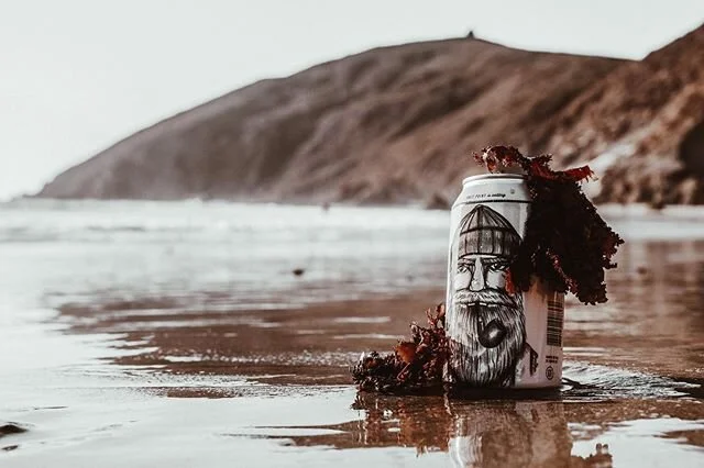 Salt PointSalt Point WelcomeSalt Point Home