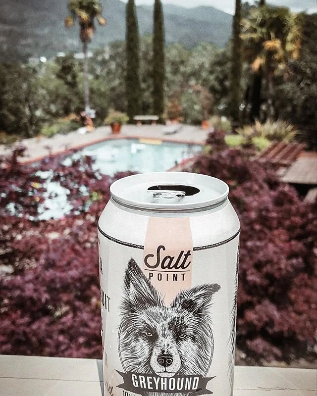 Salt PointSalt Point WelcomeSalt Point Home