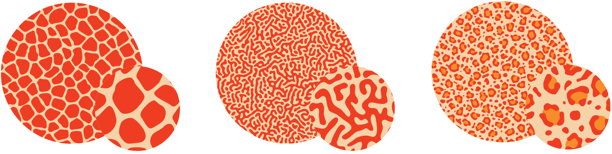 Making Turing Patterns with Illustrator — Mattgyver