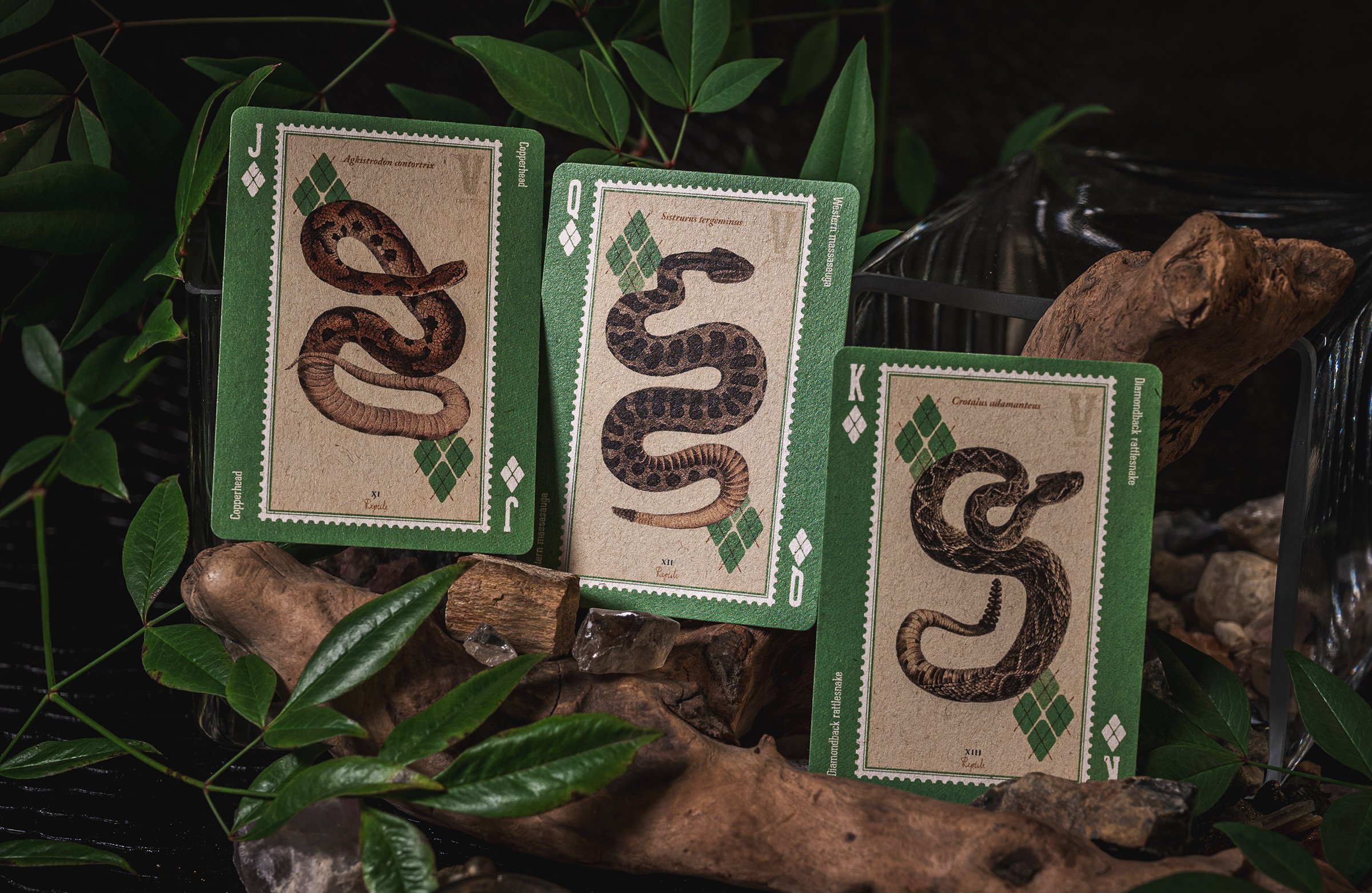 Herpetology 101 Poker Deck — Mattgyver