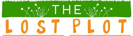 The Lost Plot
