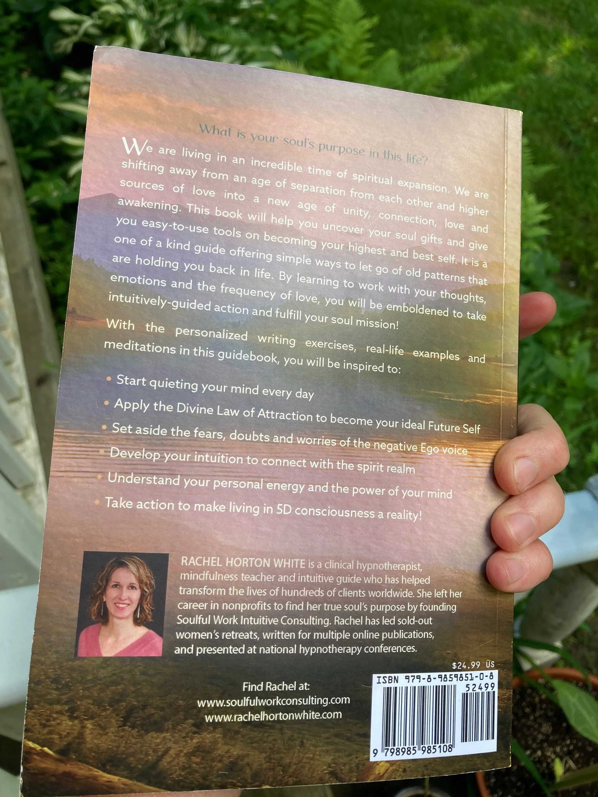 The Book — Soulful Work Intuitive Consulting