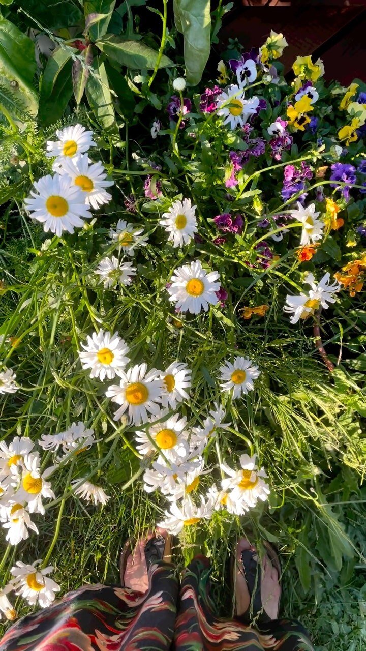 Portfolio — Sarah Clement