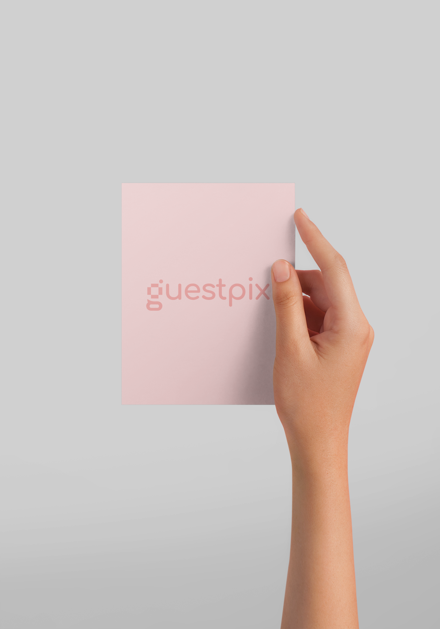 Case Studies — Mo. Creative