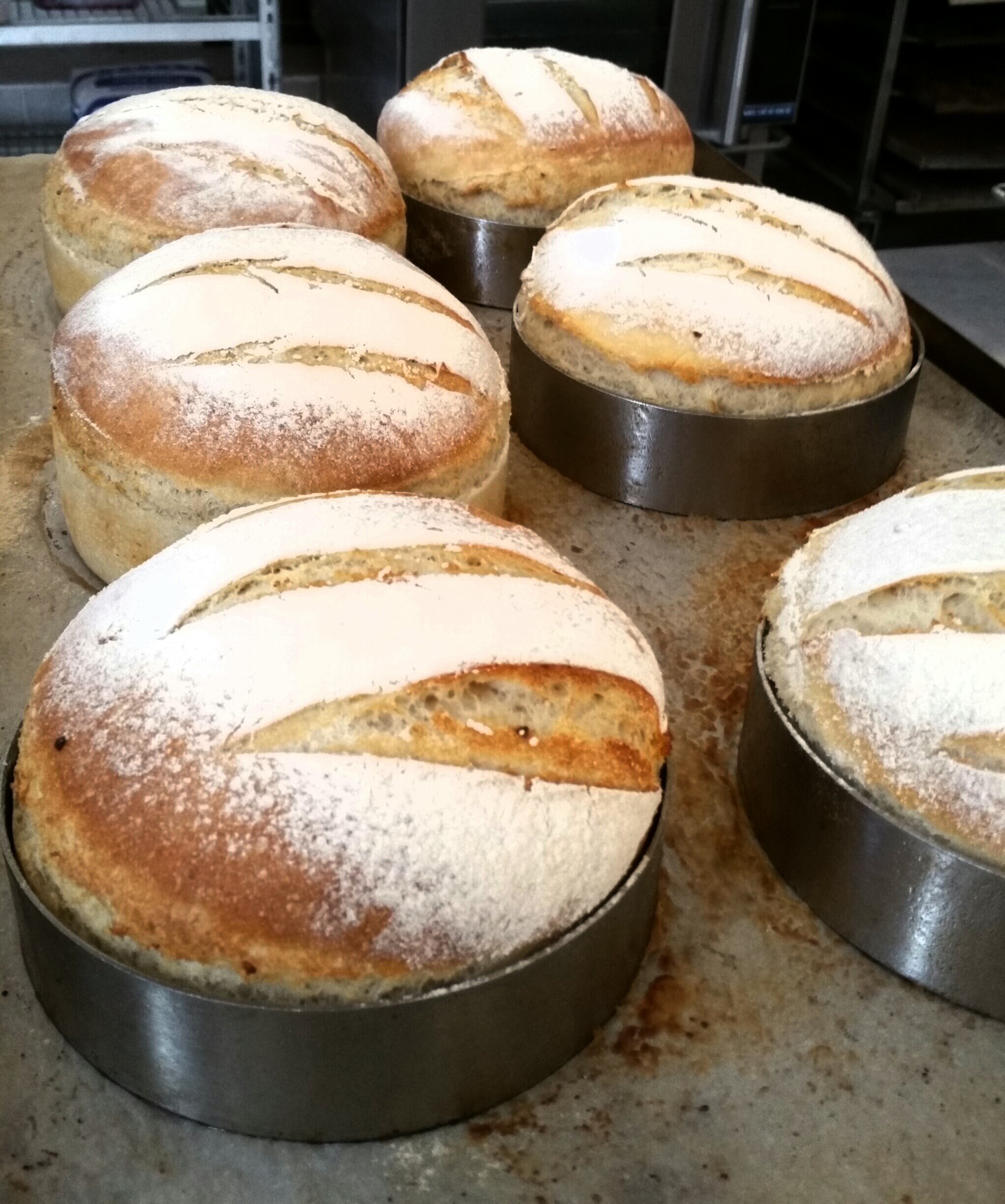 Gallery — The Celtic Bakery
