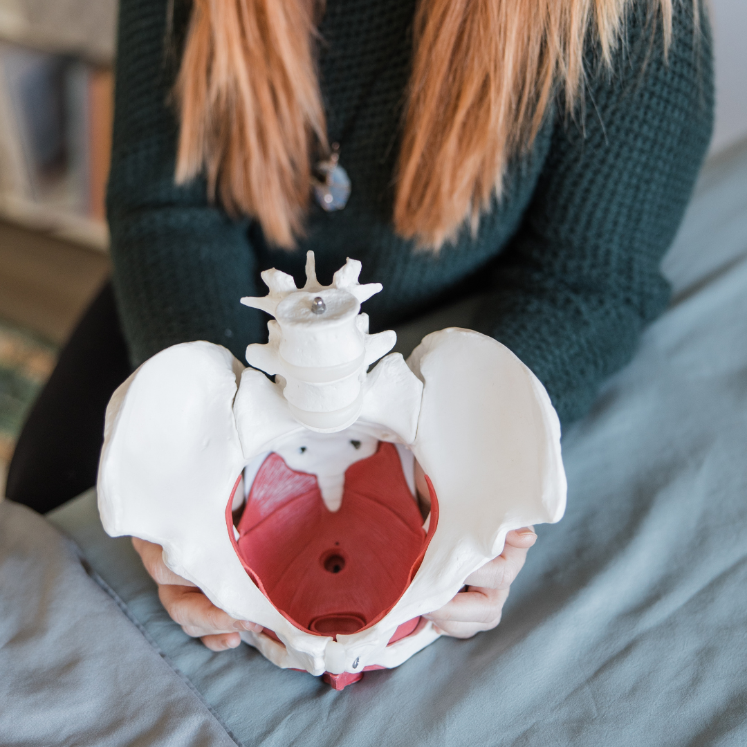 Classes — Embodied Physical Therapy