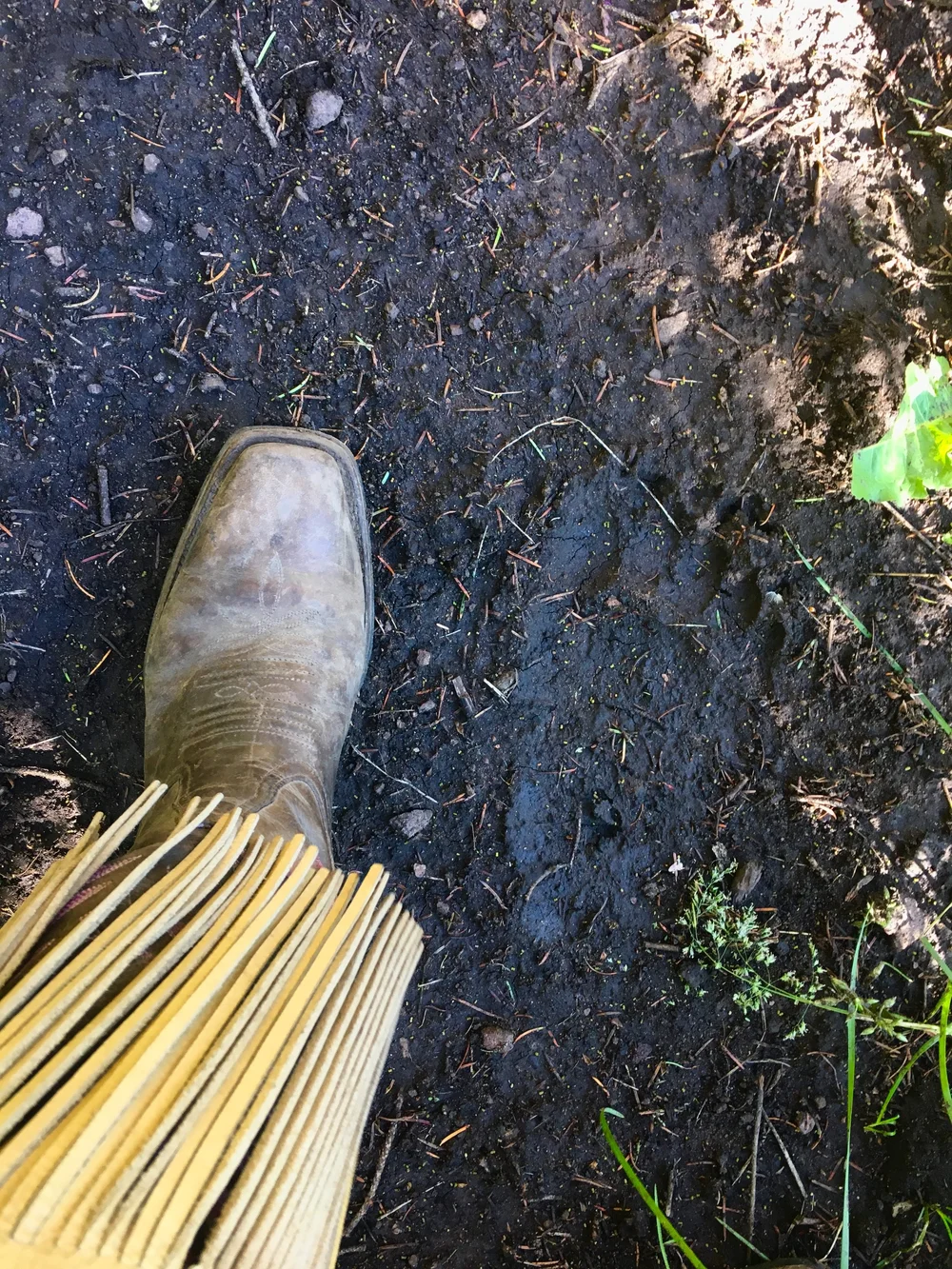 23 July 2019 — Tom Miner Basin Association