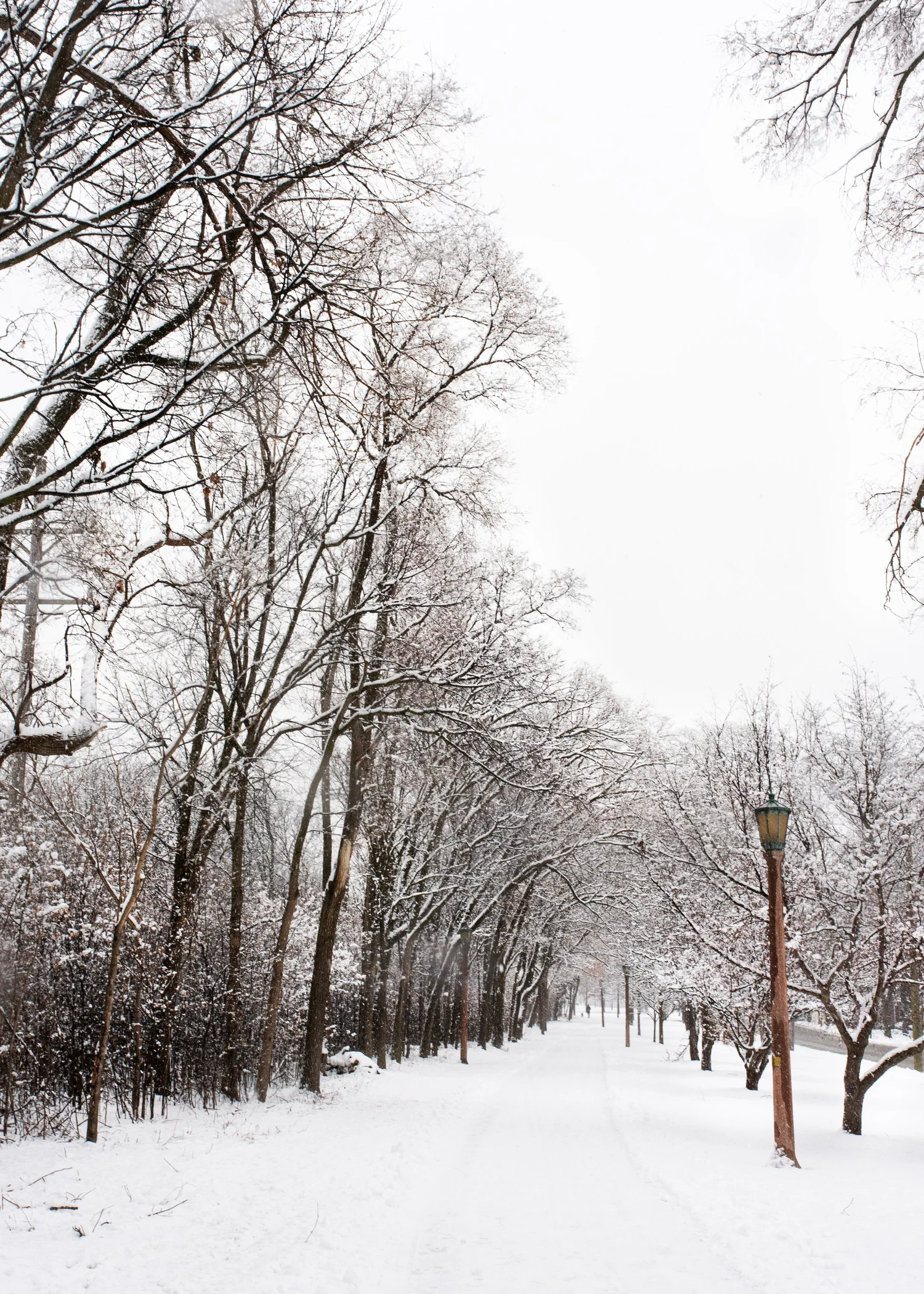 Michele K Photography-blog western suburbs chicago photographer