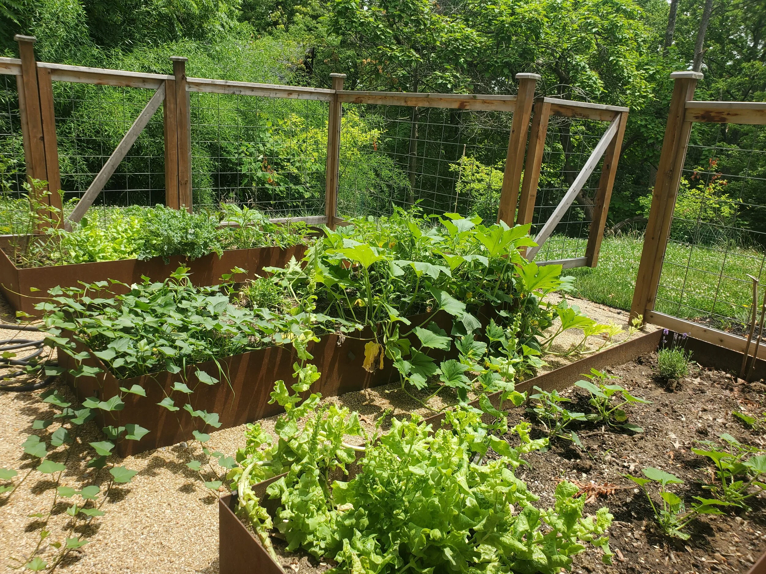 Native Landscaping Design & Installation — Our Land Organics | Natural ...