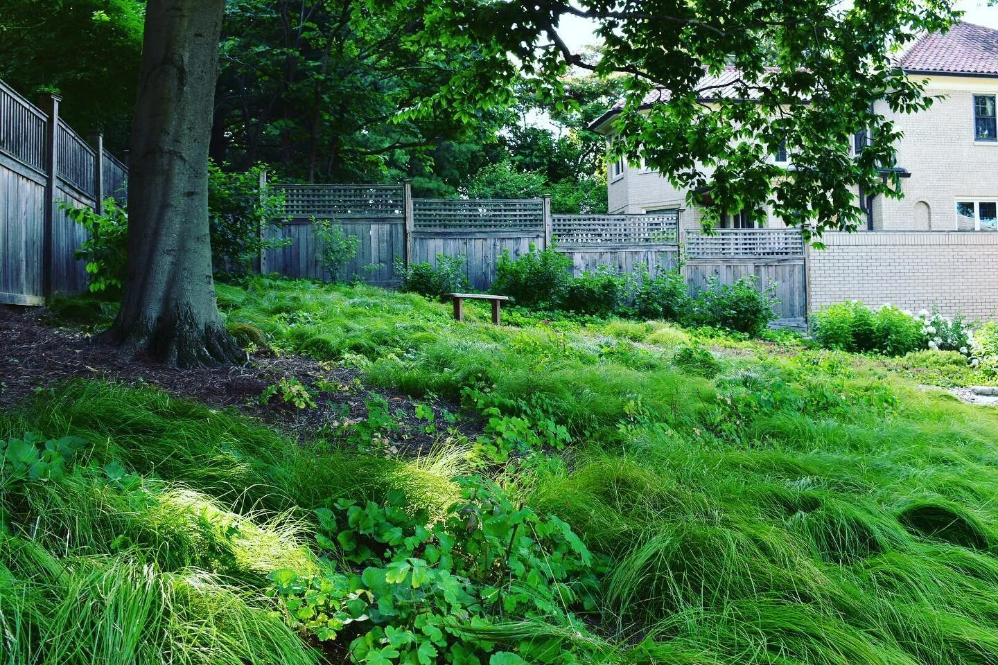 Our Land Organics | Natural Landscaping Near Cincinnati