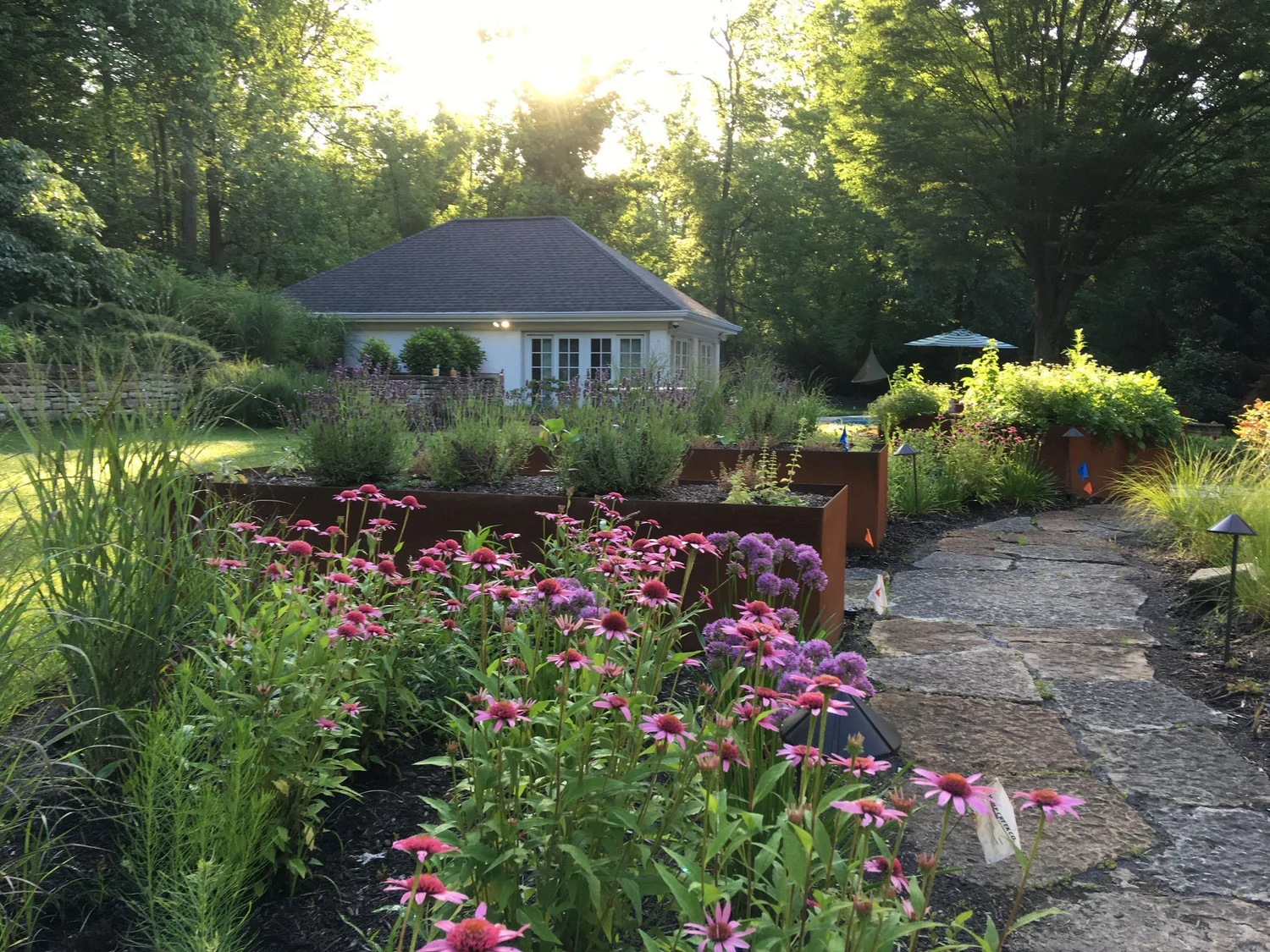 How to Choose the Best Native Plants for Your Landscape — Our Land ...