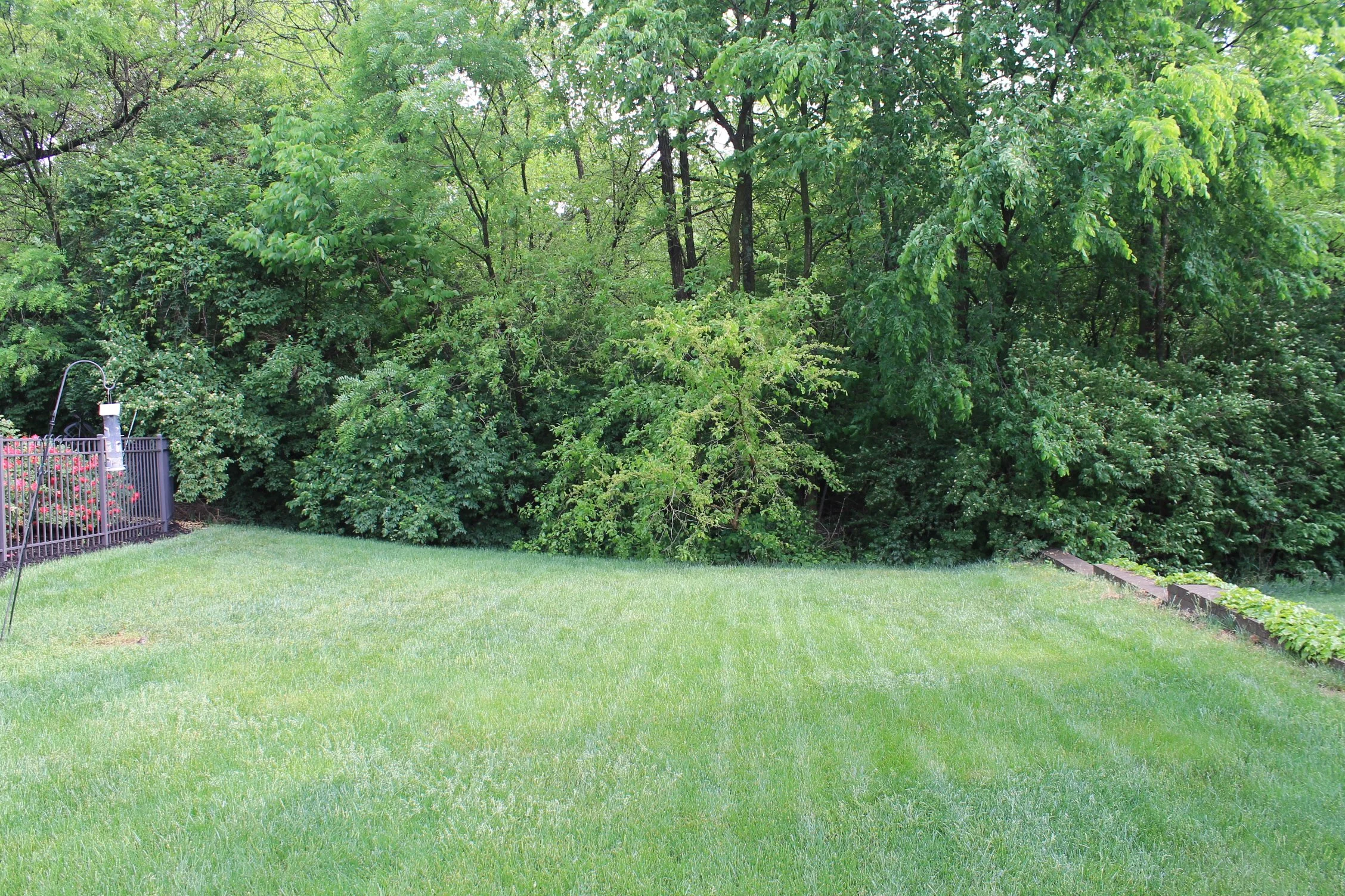 Landscape Design Loveland — Our Land Organics | Natural Landscaping ...