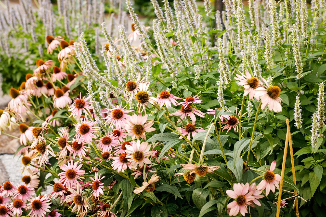 Native Landscaping Design & Installation — Our Land Organics | Natural ...
