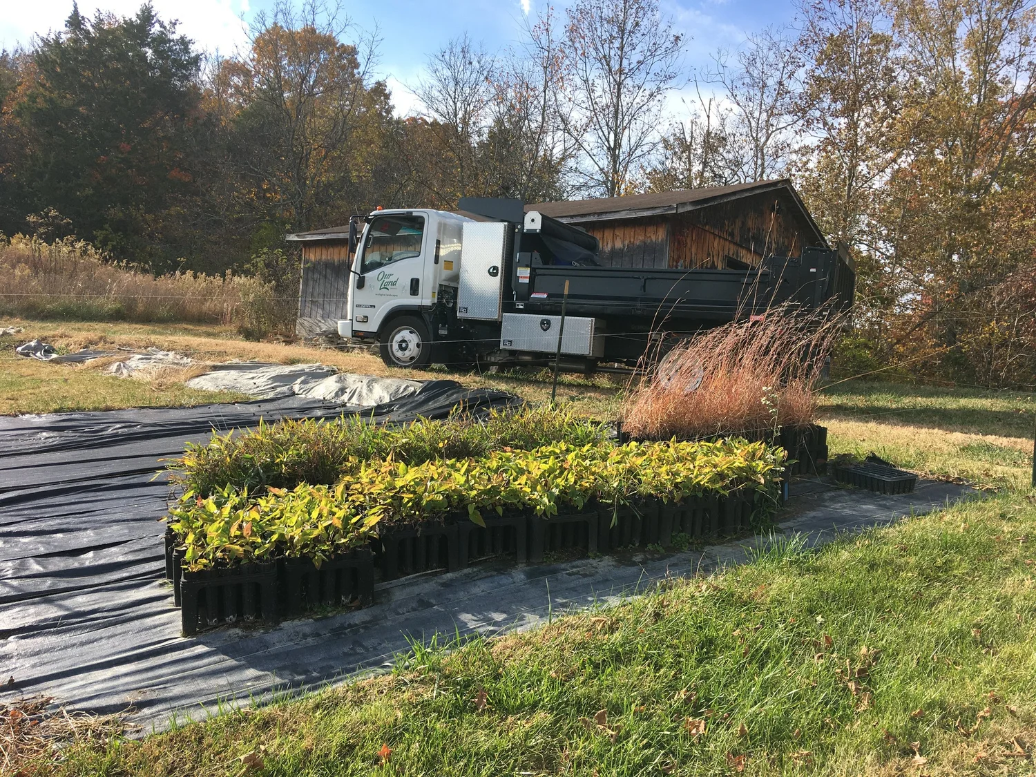 Native Plant Nursery — Our Land Organics | Natural Landscaping Near ...
