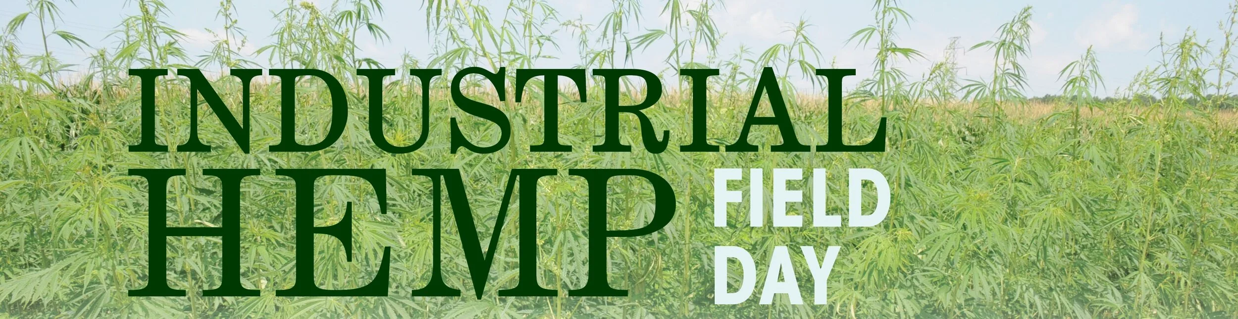 POSTPONED UNTIL FURTHER NOTICE: Industrial Hemp Field Day 2020 ...