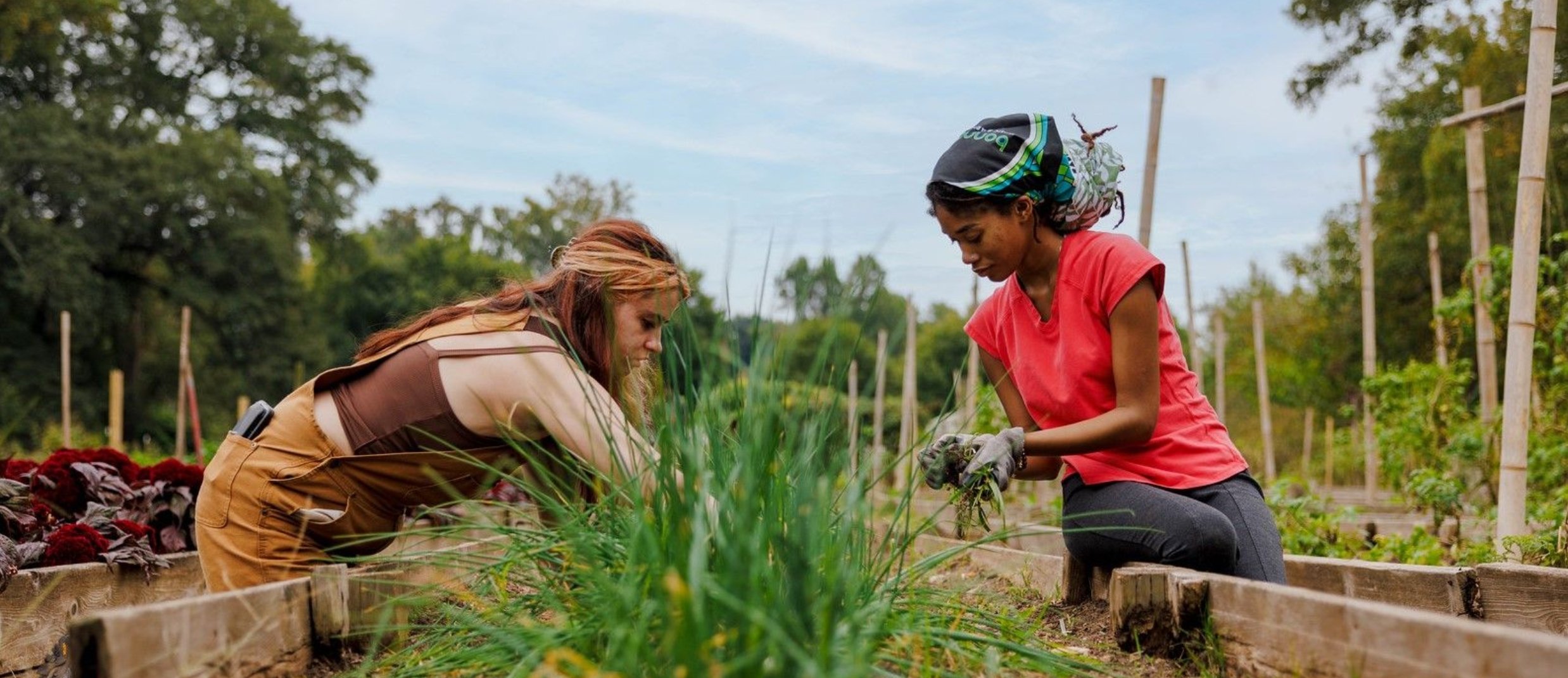 Events — Virginia Cooperative Extension - Virginia State University