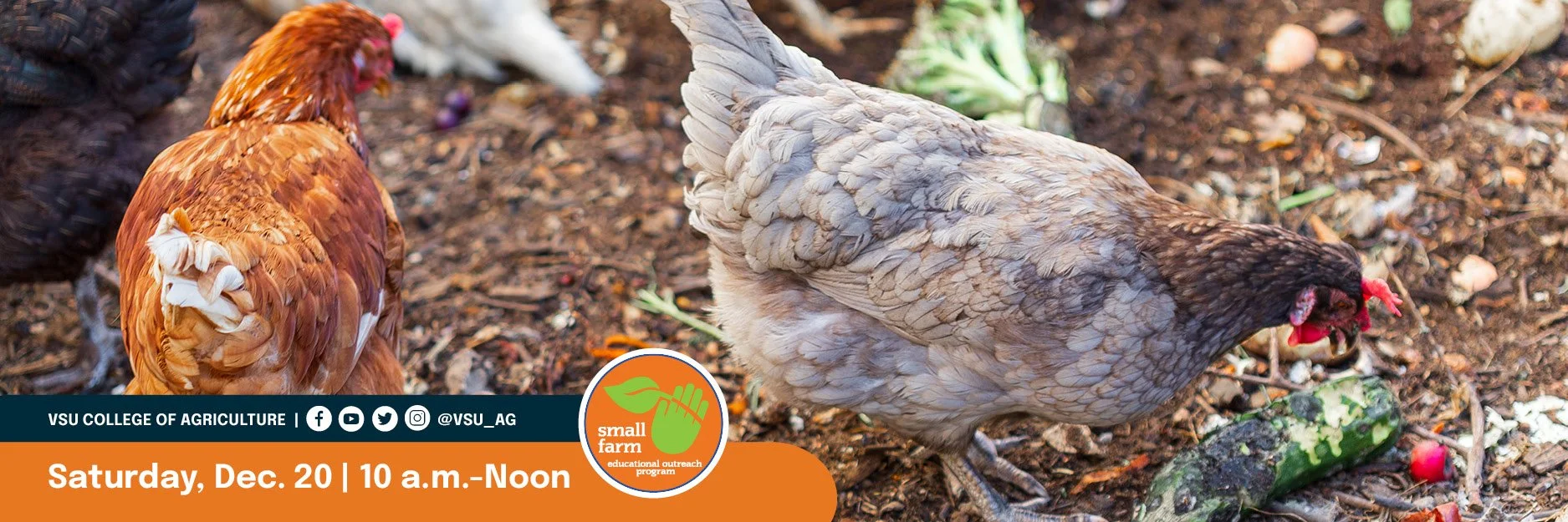Poultry and litter Management — Virginia Cooperative Extension ...