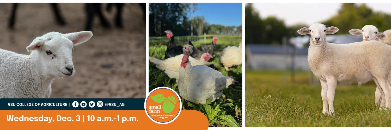 Farm Tour - Epic Pastures Farm — Virginia Cooperative Extension ...