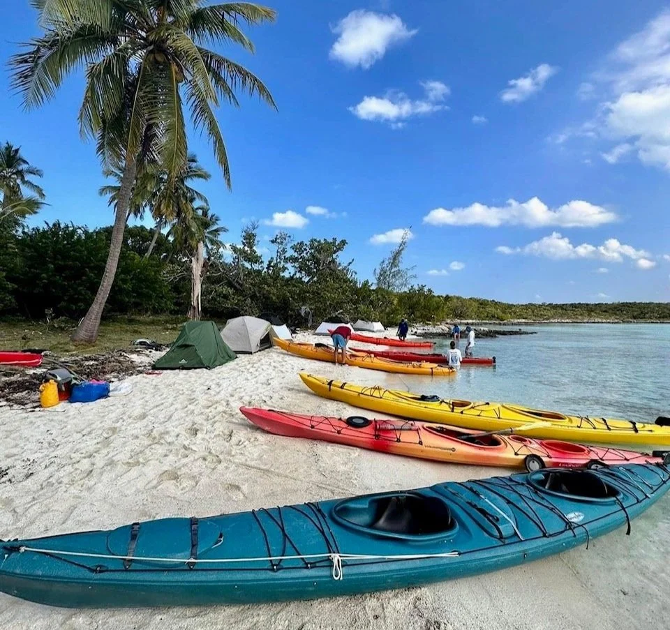 Kayaking the Bahamas Trip — International Field Studies, Inc.