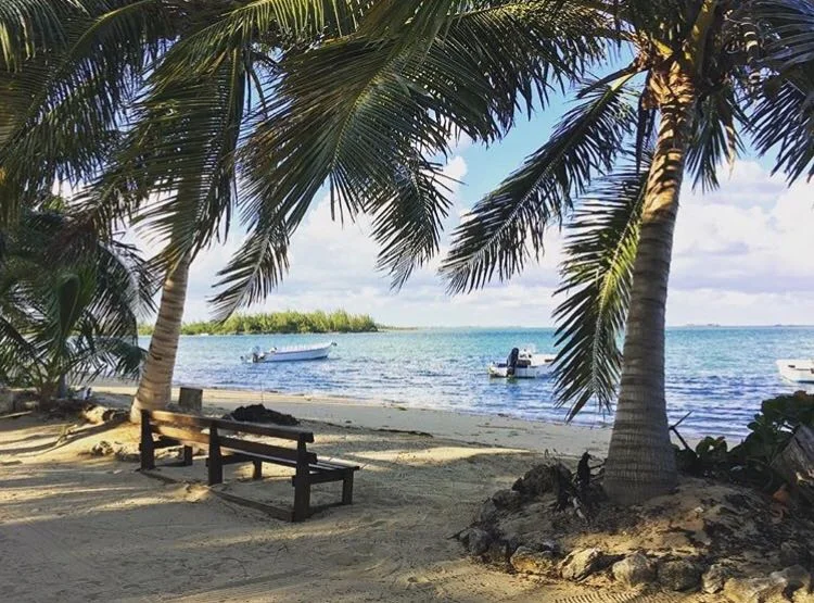 Forfar Field Station — International Field Studies, Inc.