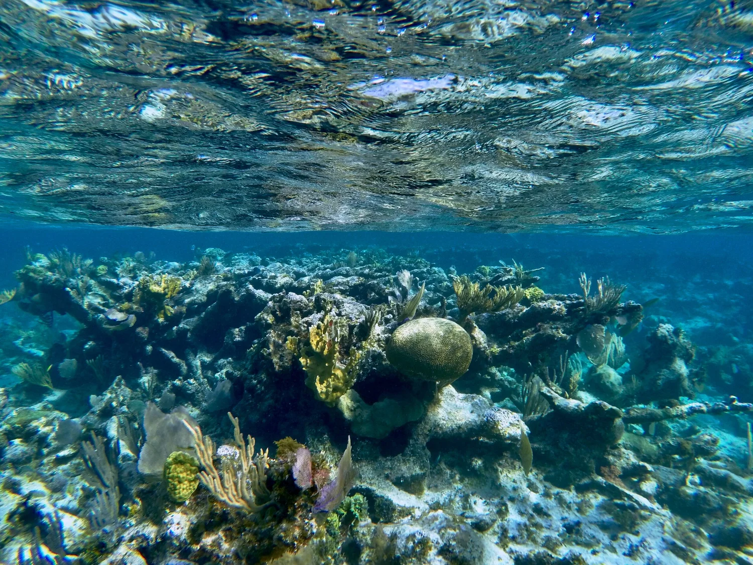 About Andros Island — International Field Studies, Inc.