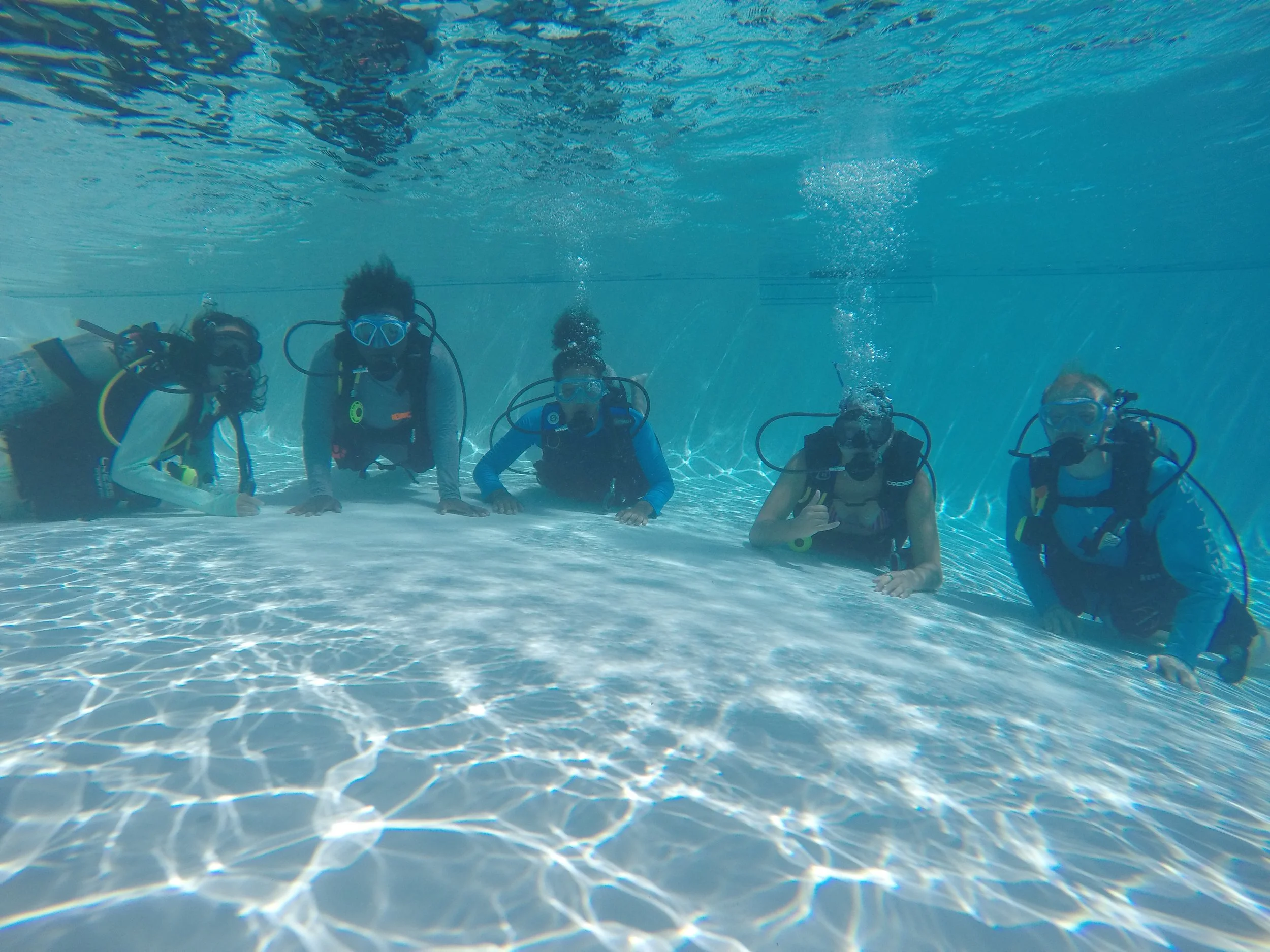 Summer Marine Biology Week — International Field Studies, Inc.