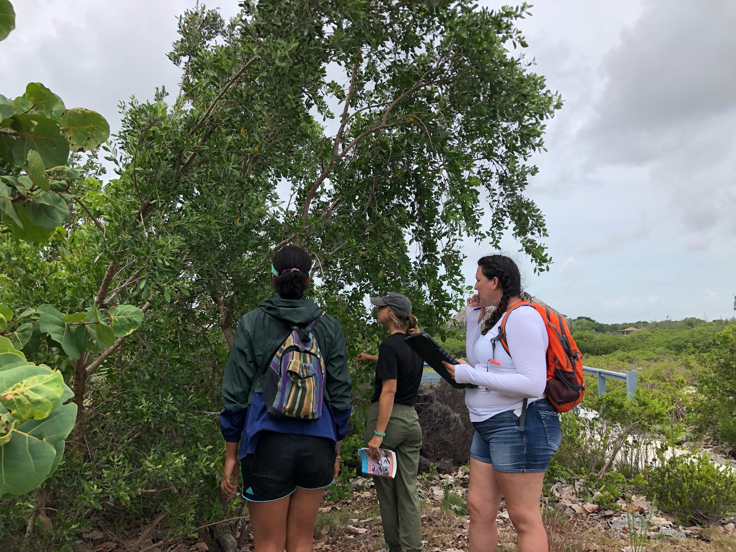 Field Studies for Schools — International Field Studies, Inc.