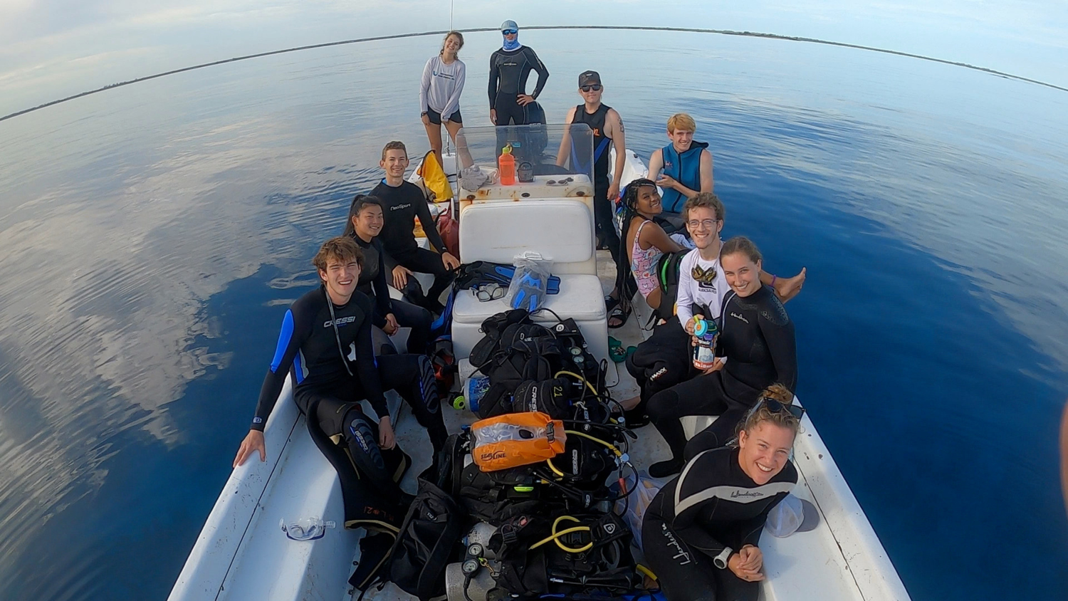 International Field Studies, Inc.