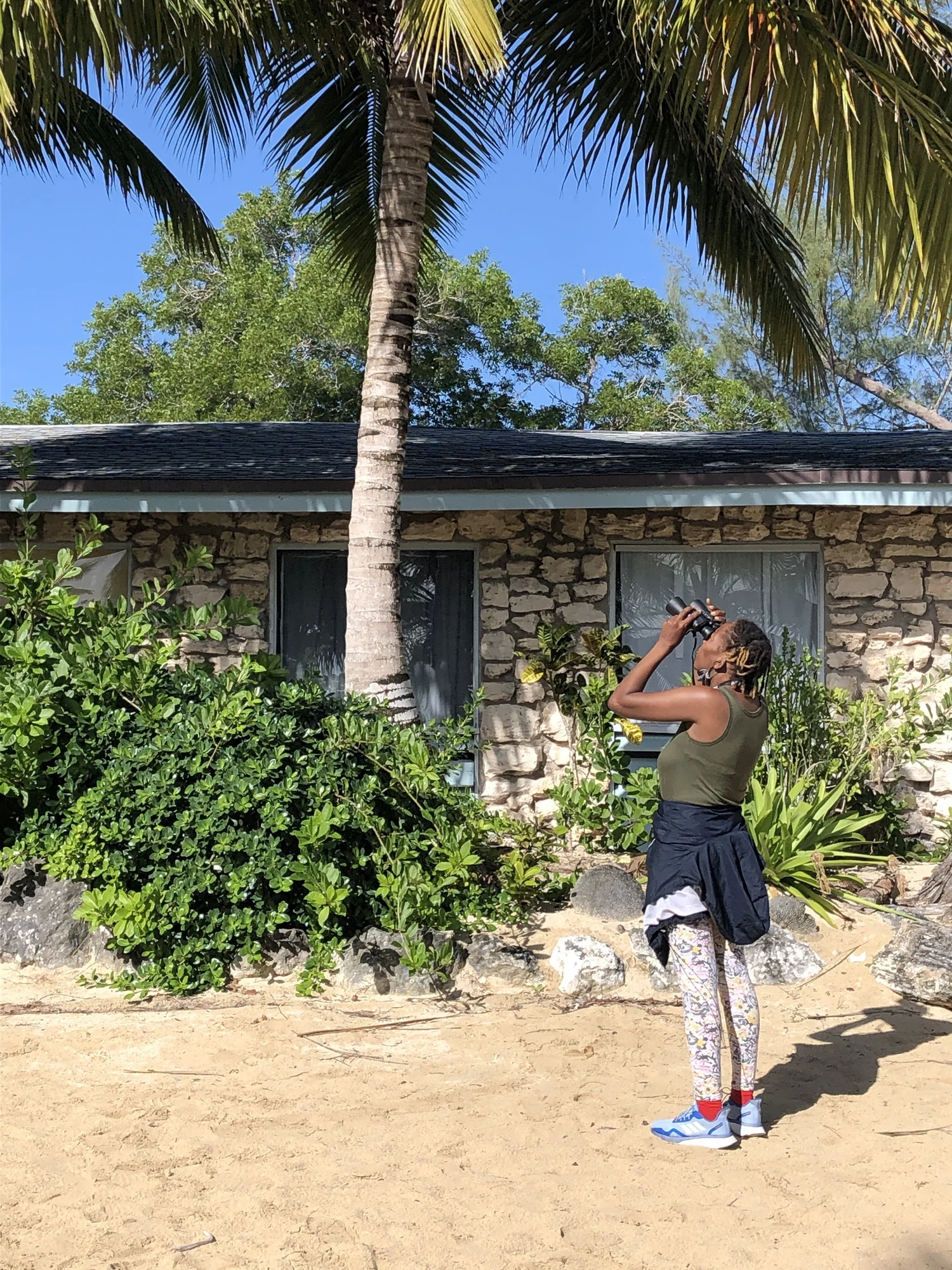 Birding Tour - Andros Island - The Bahamas — International Field ...